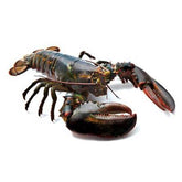 Clearwater Seafoods Inc