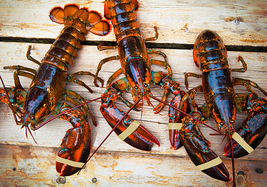 Clearwater Seafoods Inc