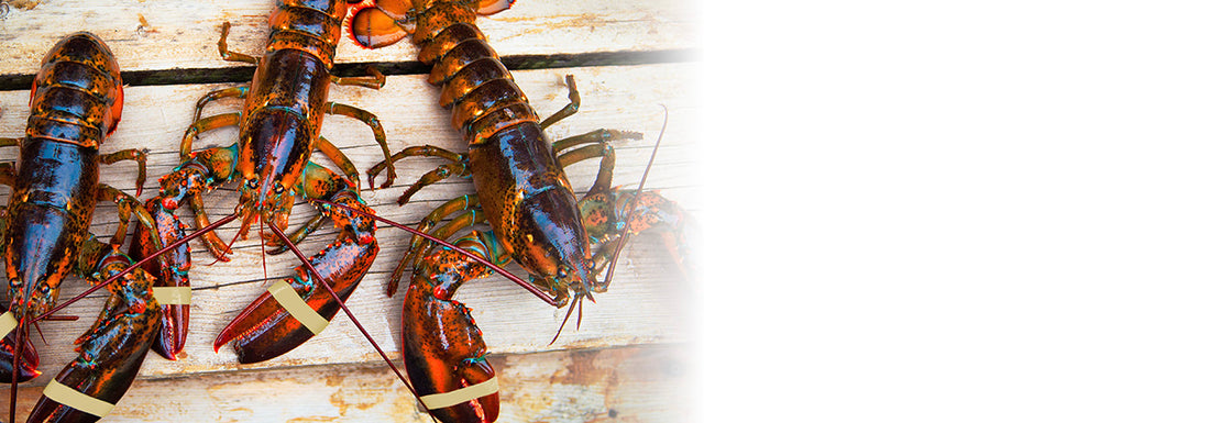 Clearwater Seafoods Inc